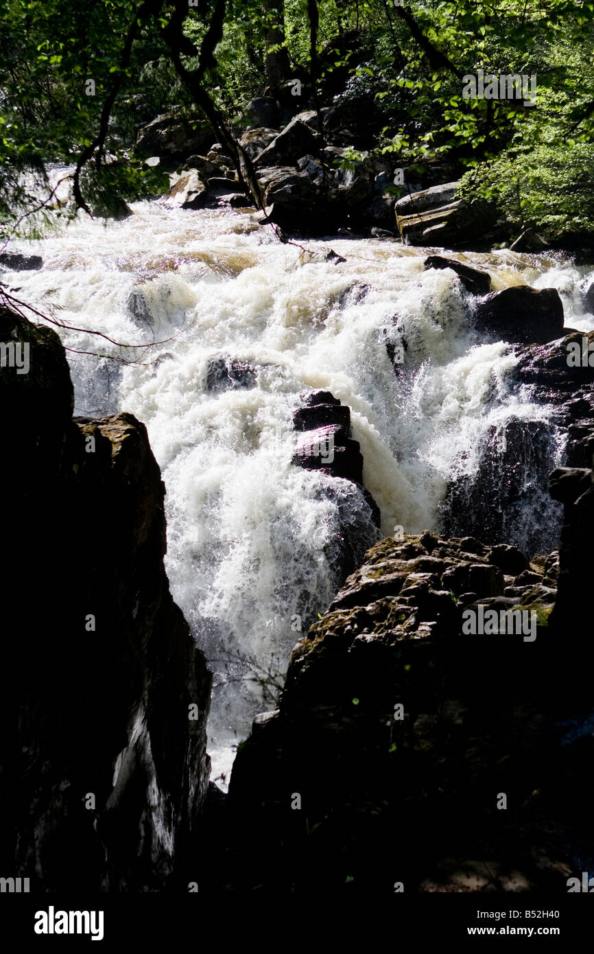 Hermitage falls hi-res stock photography and images - Alamy