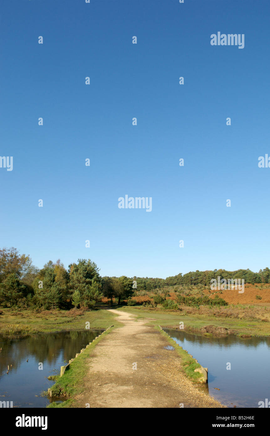 New path bridge hi-res stock photography and images - Alamy