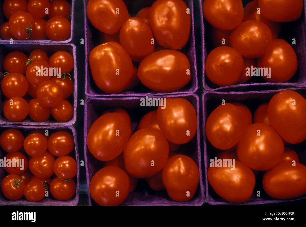 tomatoes in cartoon Stock Photo - Alamy