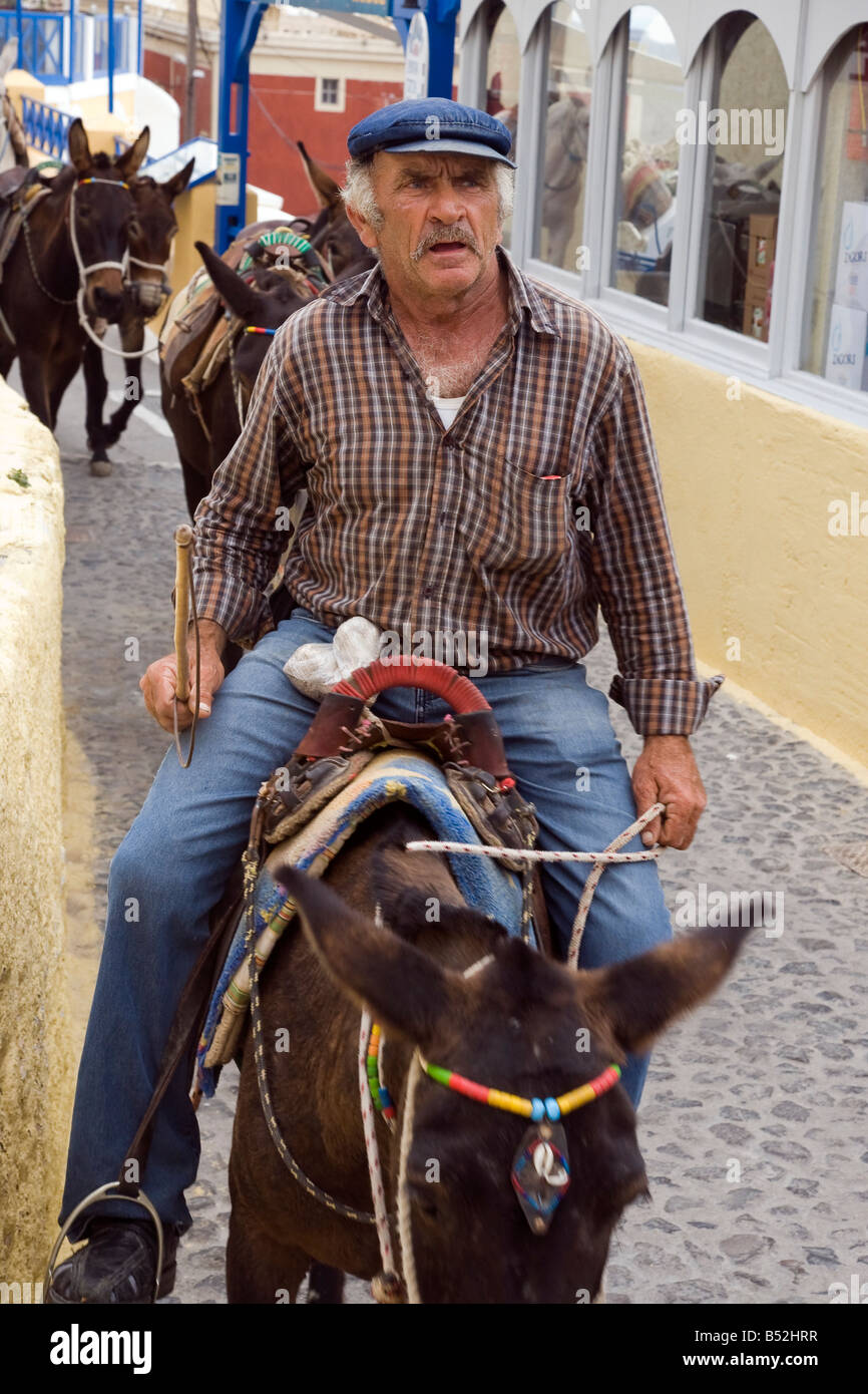 Donkey Driver Fira Santorini Cyclades Greece Stock Photo - Alamy