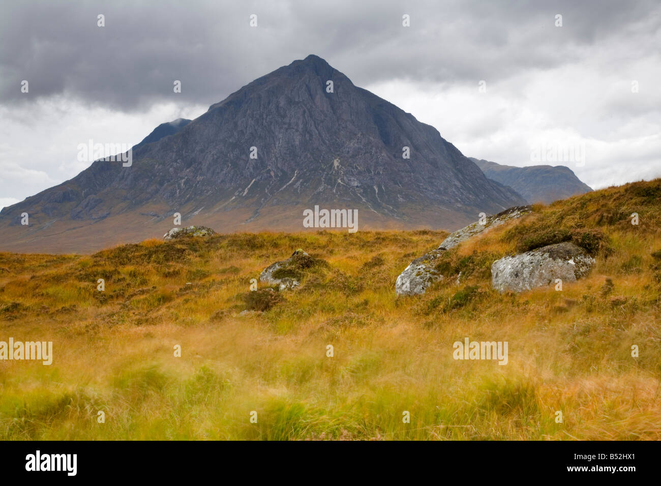 Stob Dearg Buachaille Etive Mor with autumn grasses taken from the top ...