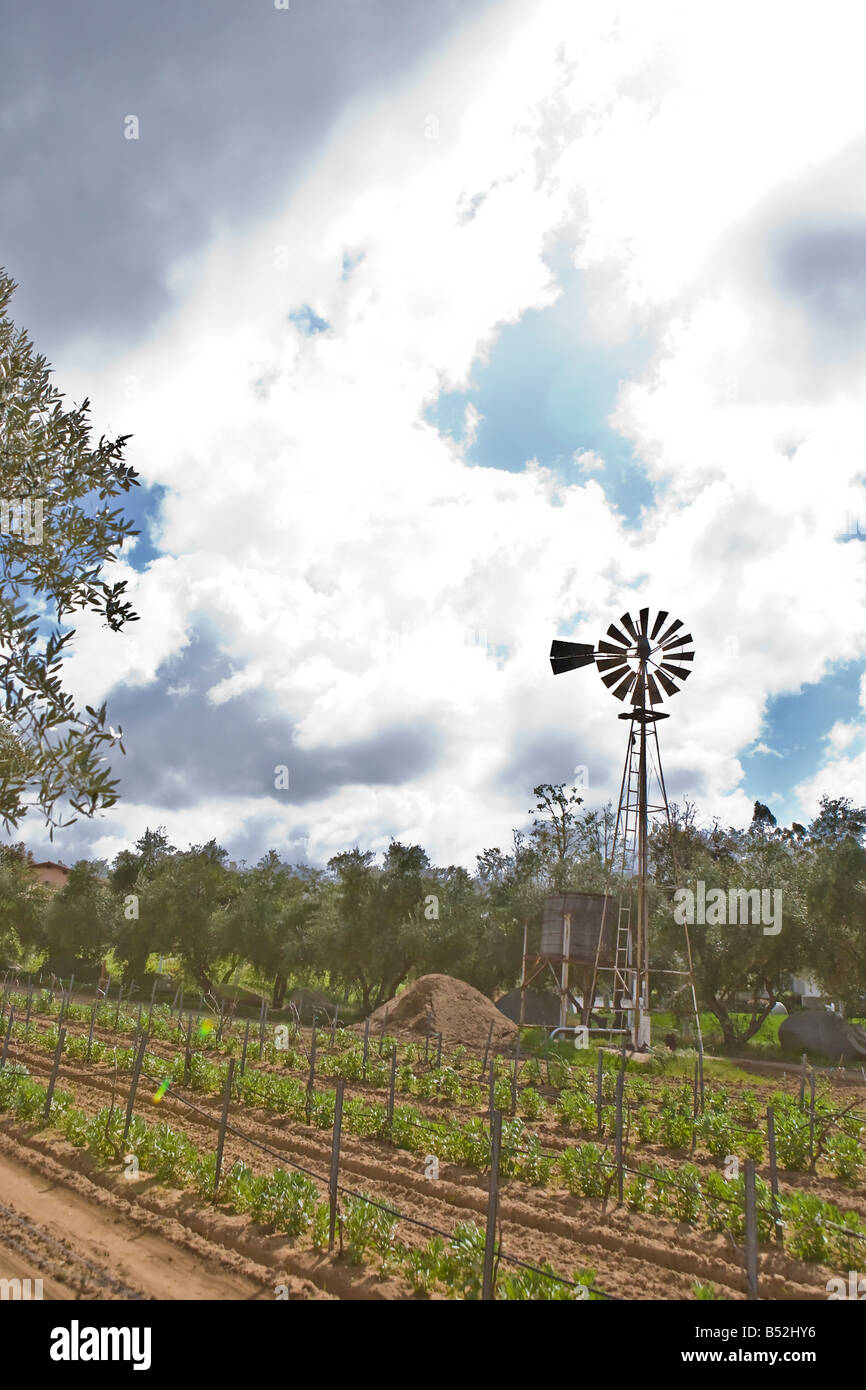 Bernardo winery hi-res stock photography and images - Alamy