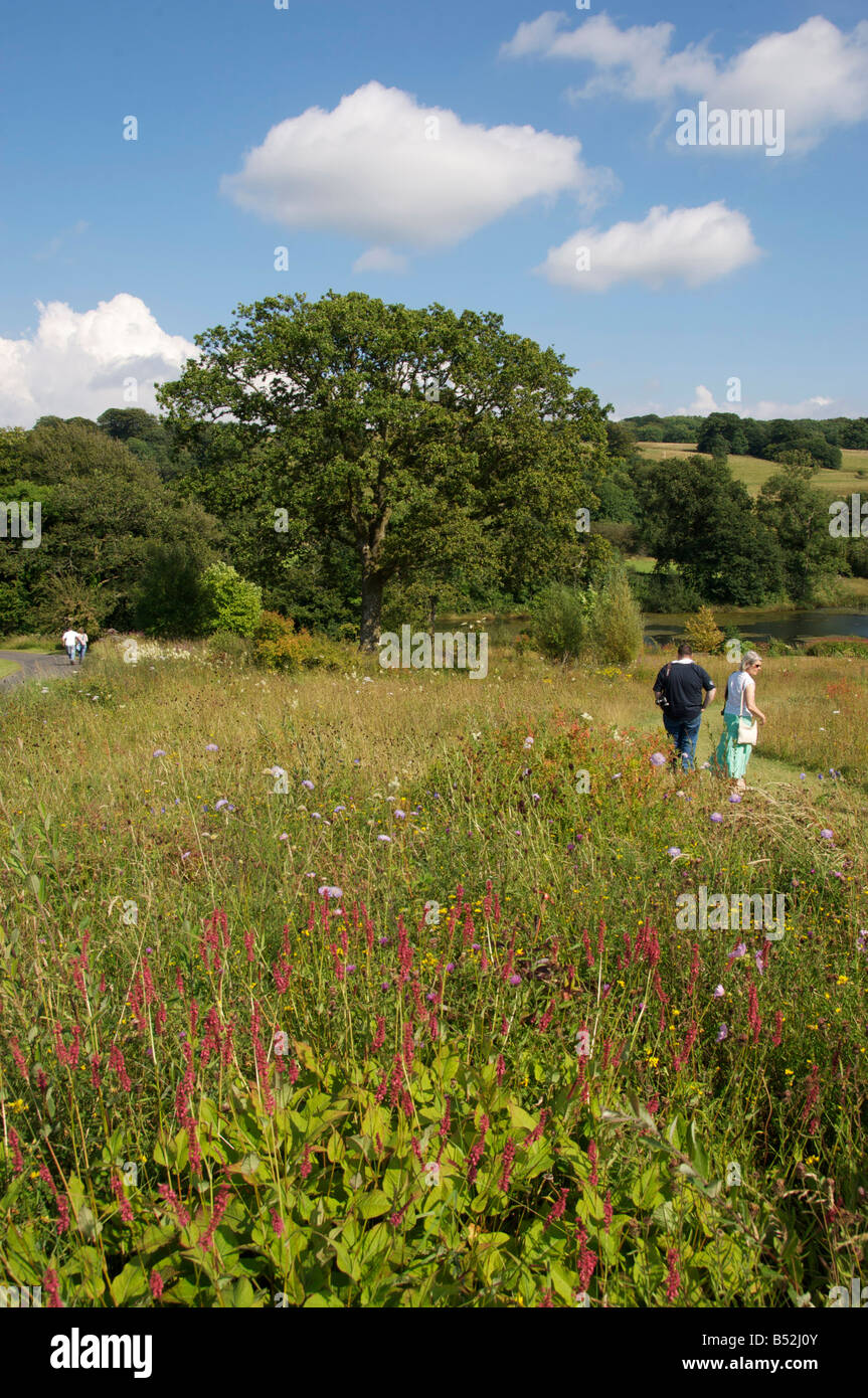 Welsh botanic gardens hi-res stock photography and images - Alamy
