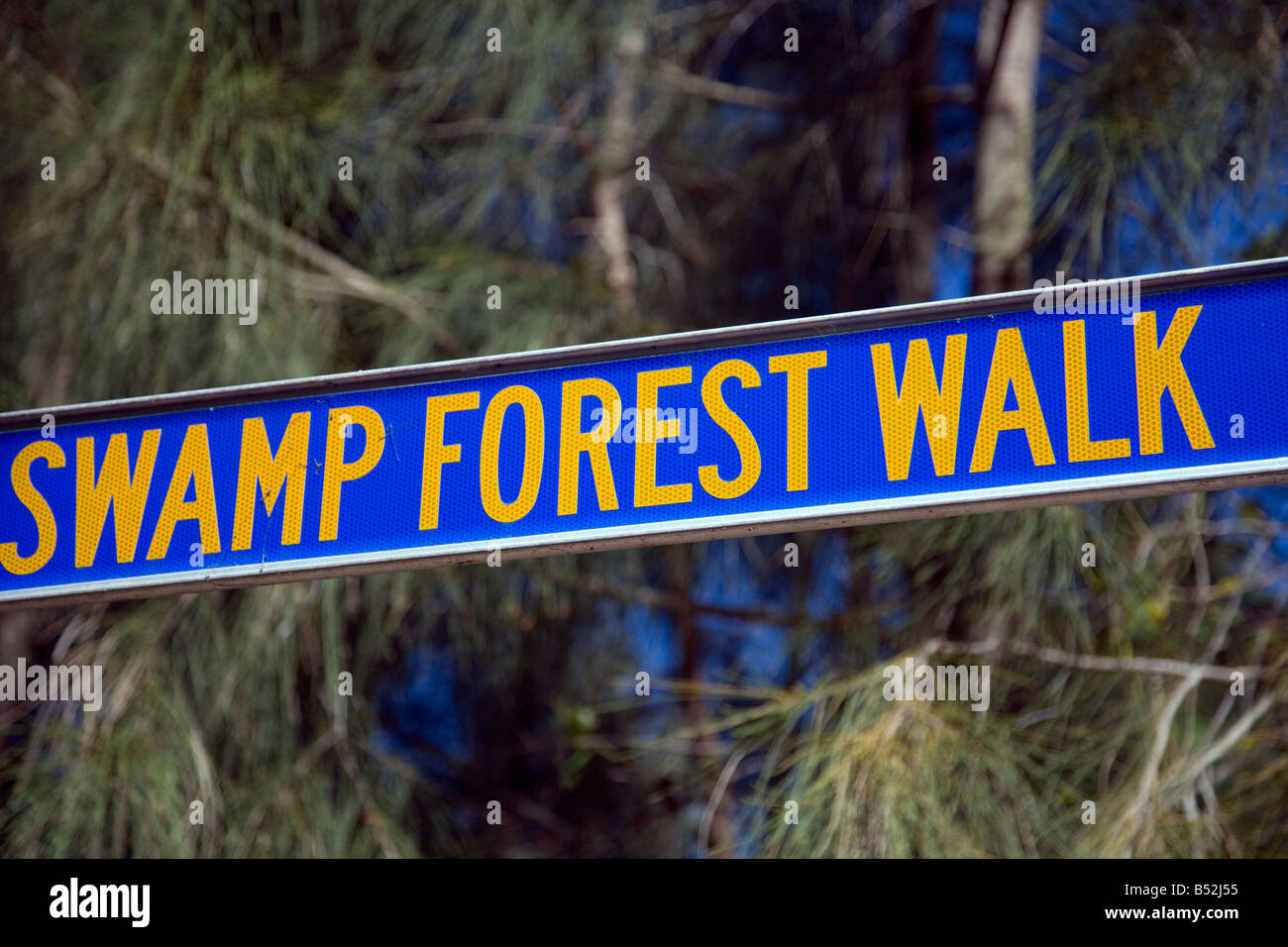 Swamp walk hi-res stock photography and images - Alamy