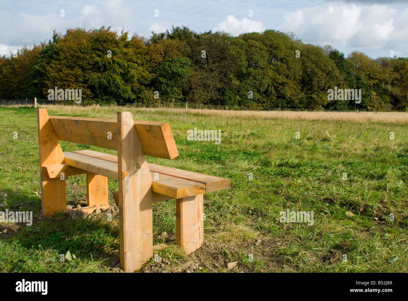 Bench at Forestry Commission at Wombwell Wood Stock Photo - Alamy