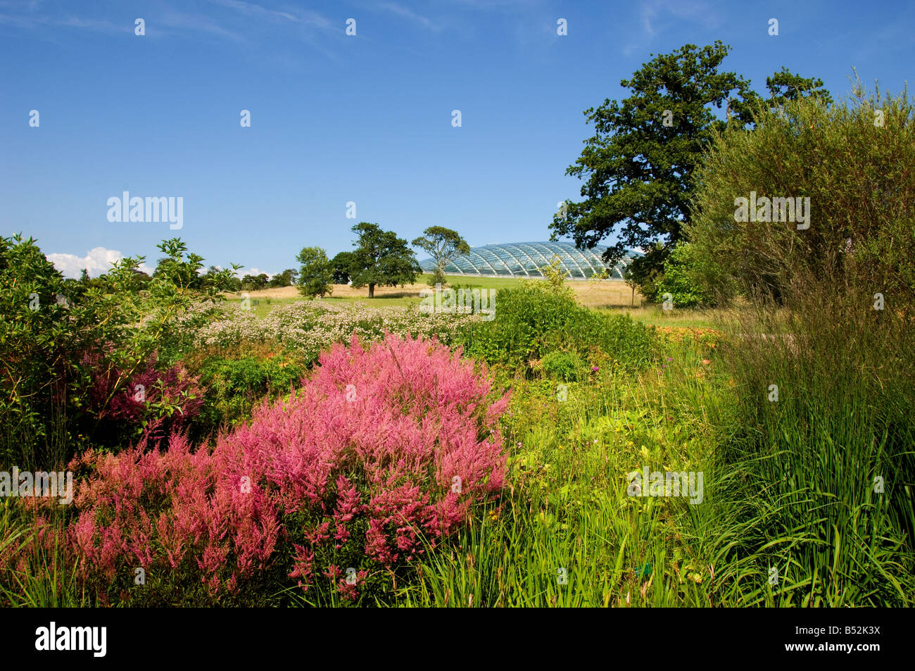 National botanical garden of wales hi-res stock photography and images ...