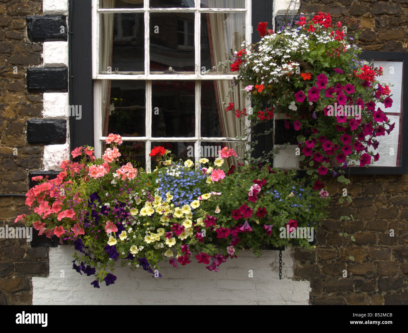 garlands flowers pub bar window downham market norfolk the fens england ...