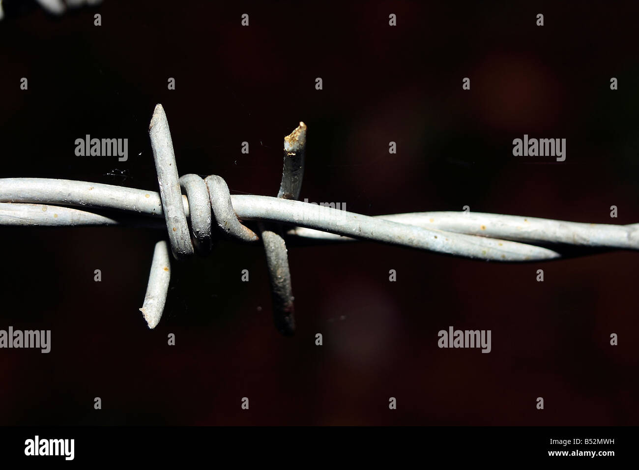 Barbed wire photos hi-res stock photography and images - Alamy