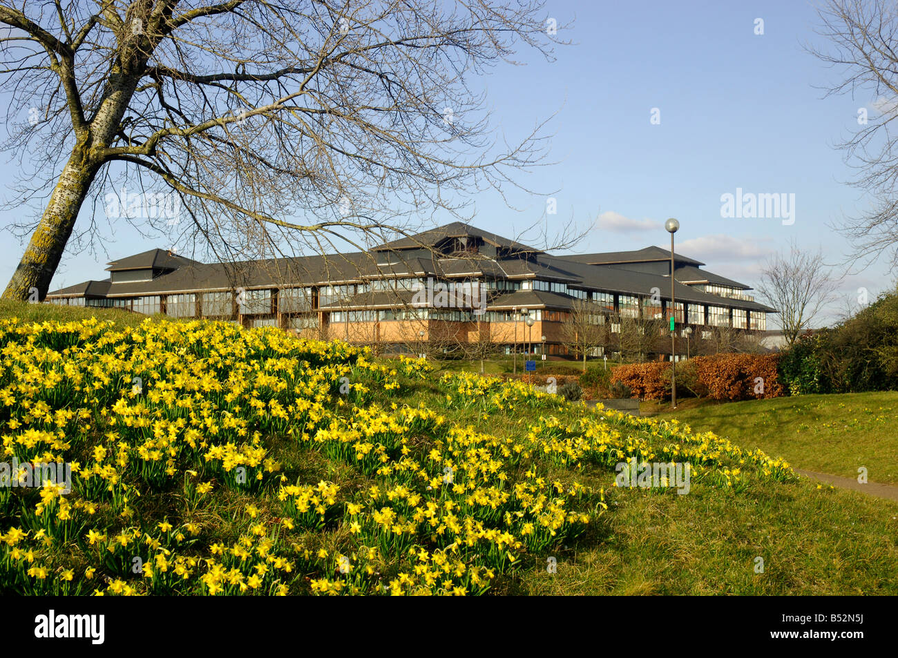 Cardiff County Hall Spring Cardiff Bay South Glamorgan Stock Photo - Alamy