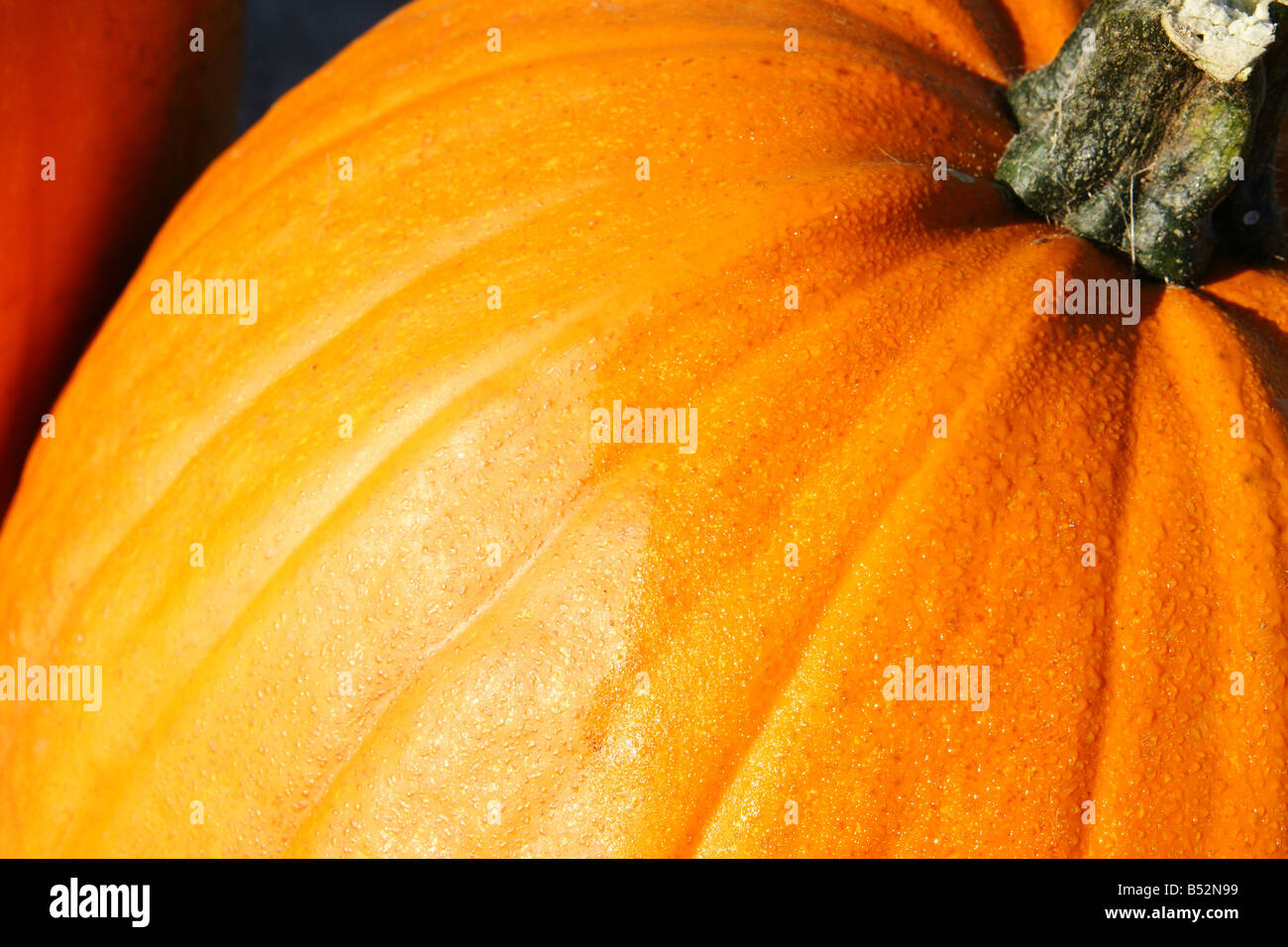 Pumpkin drop hi-res stock photography and images - Alamy