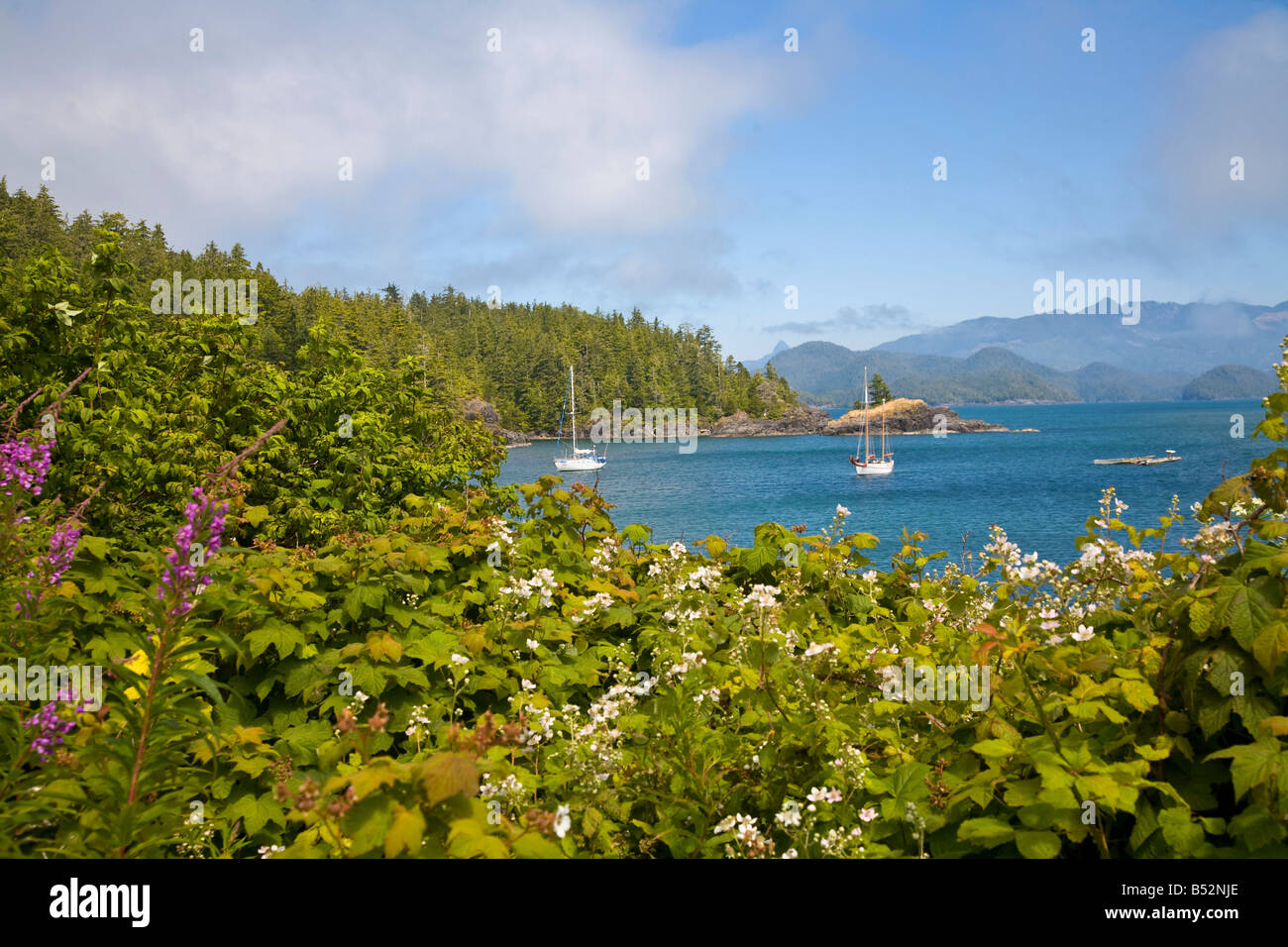 Friendly Cove Nootka Vancouver Island British Columbia Canada Stock ...