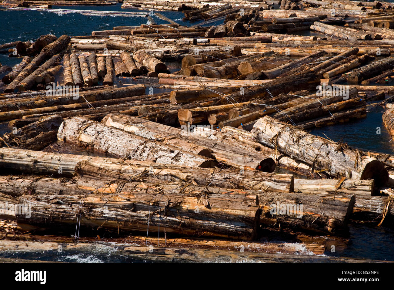 Logging Gold River Vancouver Island British Columbia Canada Stock Photo ...