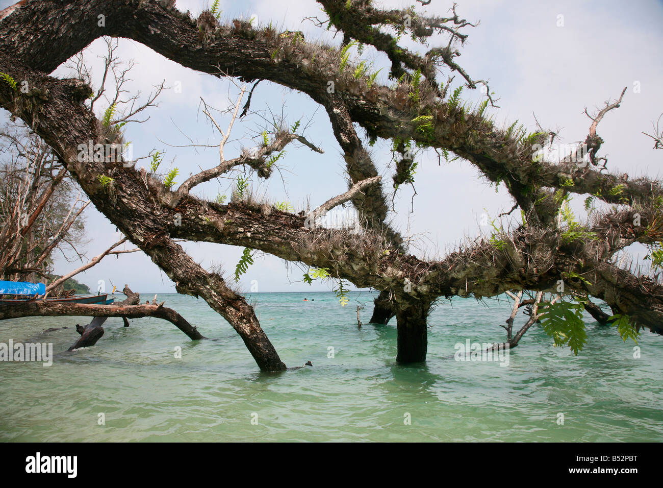 Have lock island,Andaman,India Stock Photo - Alamy