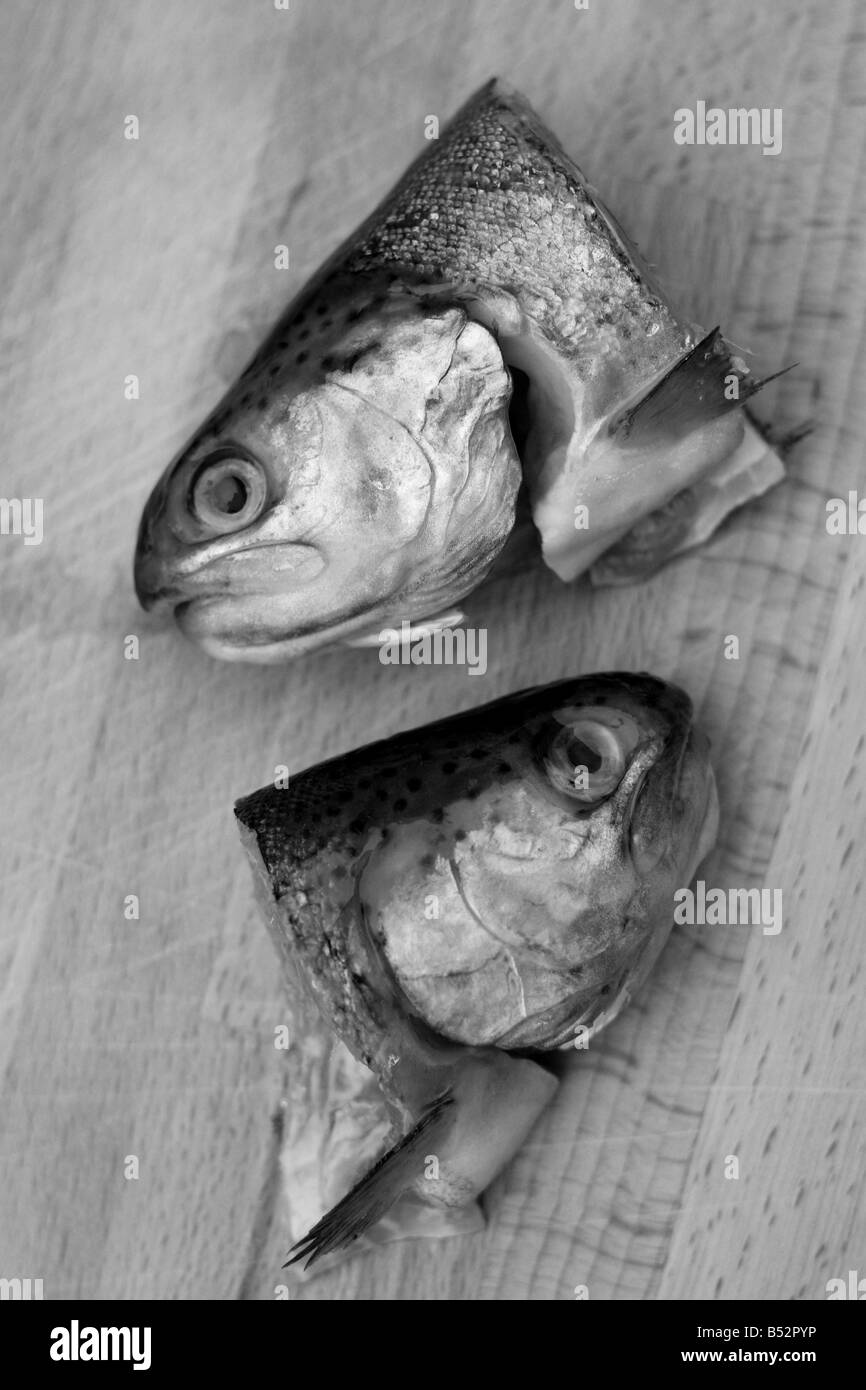 Rainbow photo Black and White Stock Photos & Images - Alamy