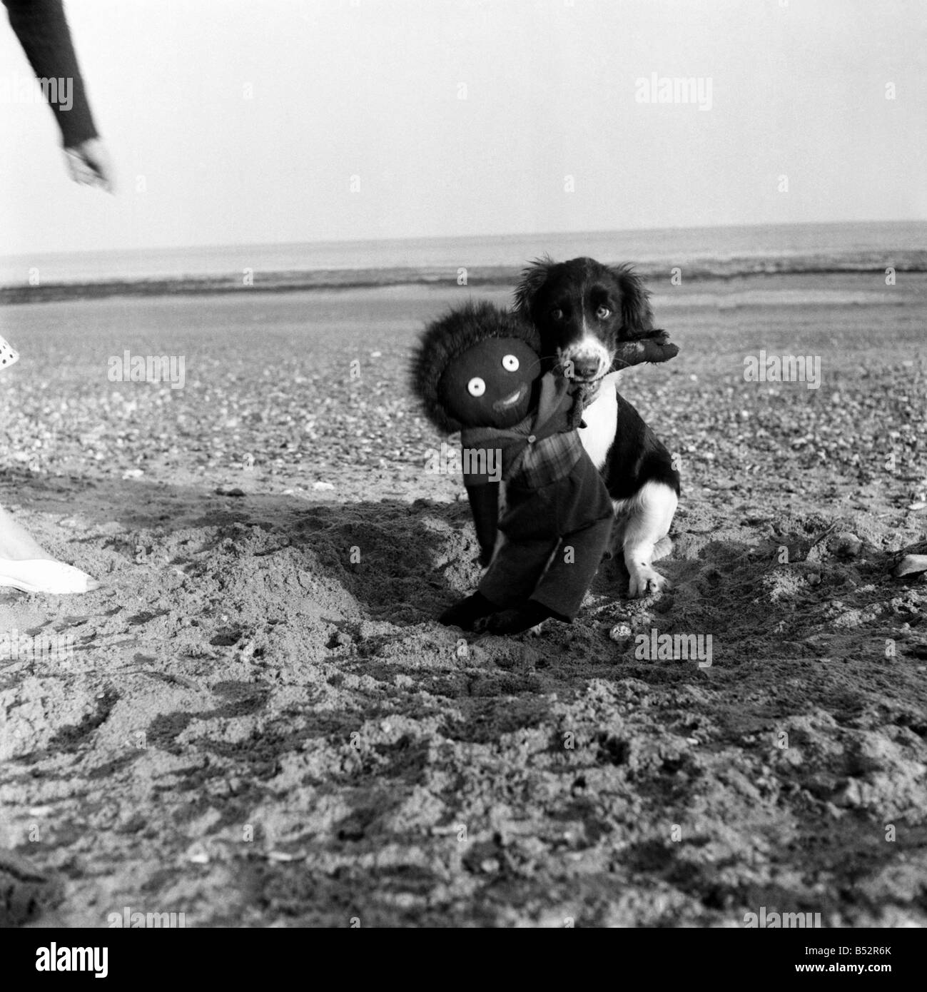 The biffer hi-res stock photography and images - Alamy