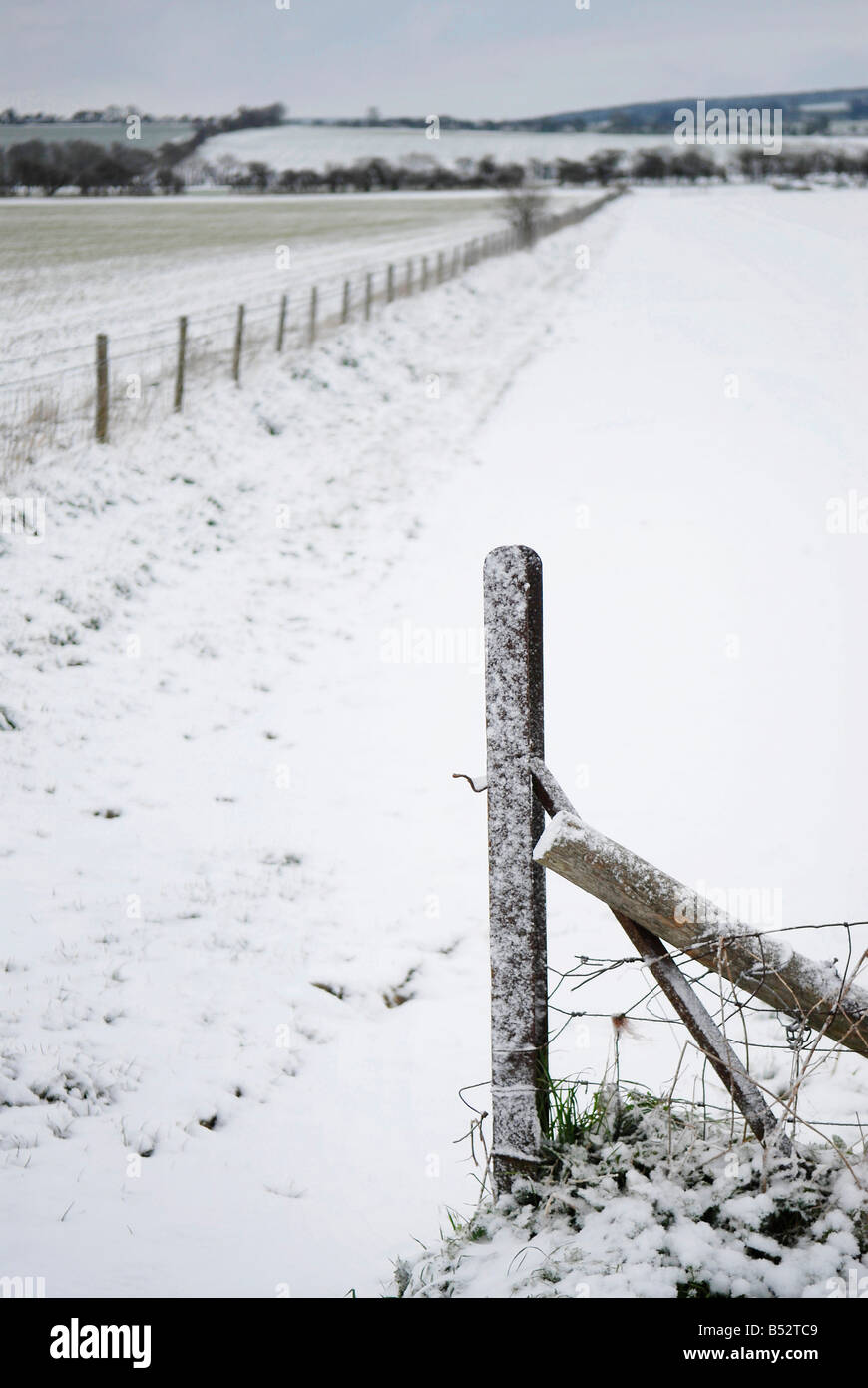 fencepost and field under light snow Stock Photo - Alamy