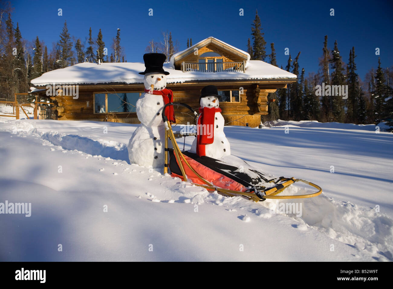 Large & small snowman ride on dog sled in deep snow in afternoon in ...