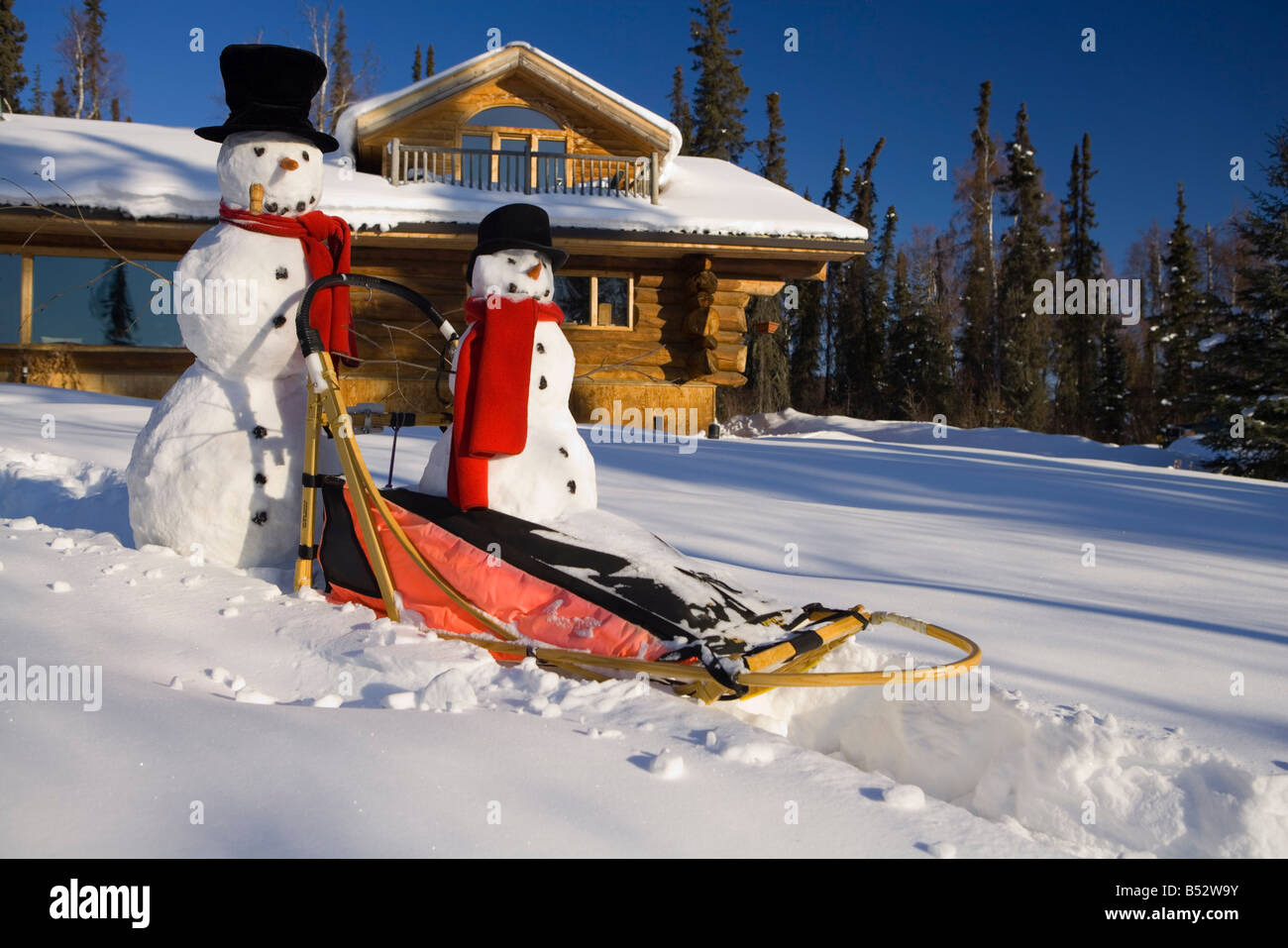 Large & small snowman ride on dog sled in deep snow in afternoon in ...