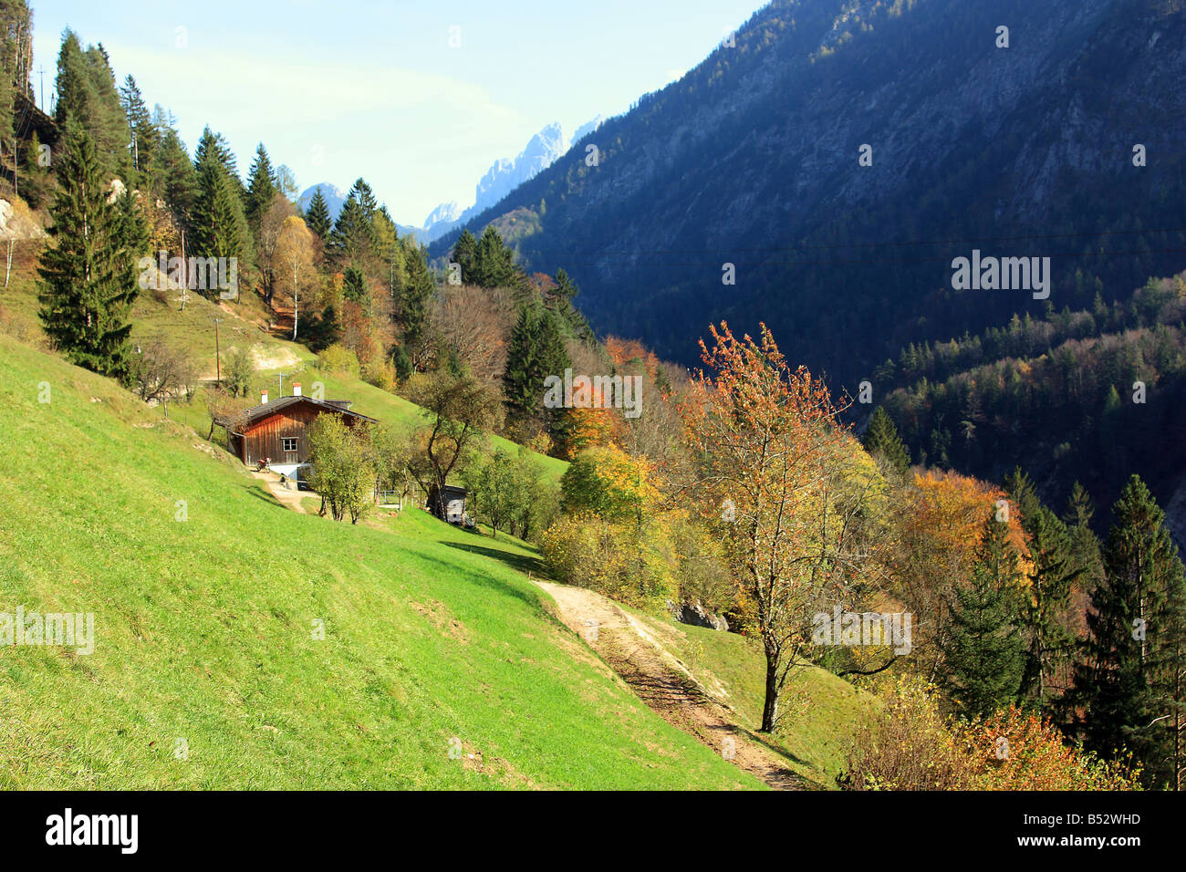Sanft wald hi-res stock photography and images - Alamy