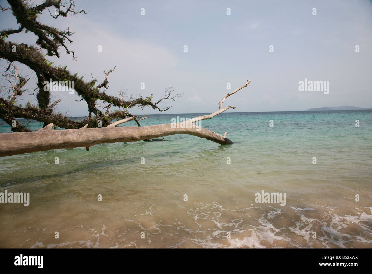 Have lock island,Andaman,India Stock Photo - Alamy