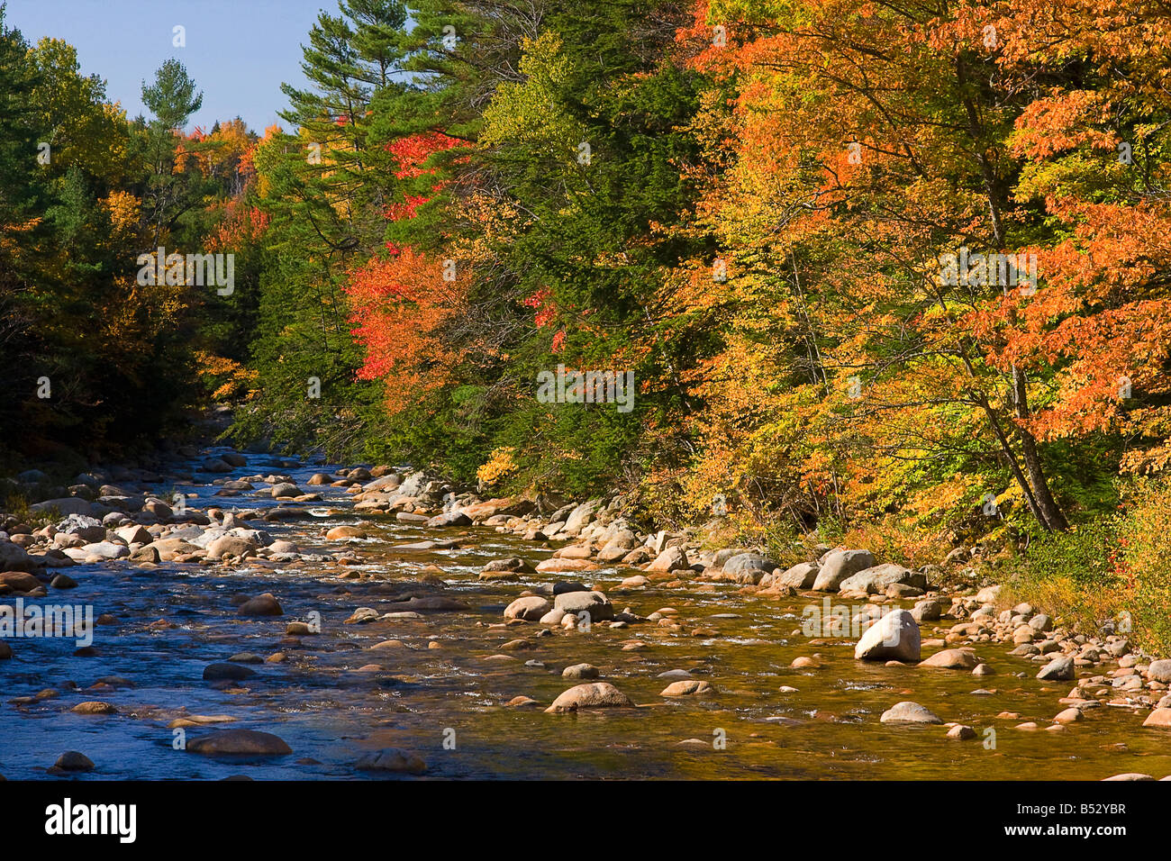 Autumn along Mad River a mountain stream in the White Mountains of New ...