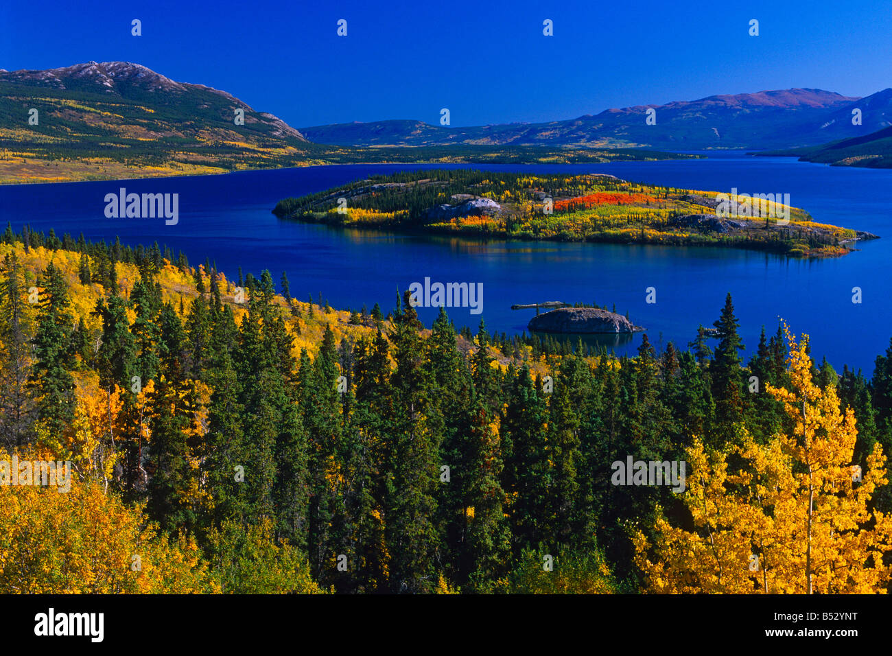 Bove island hi-res stock photography and images - Alamy