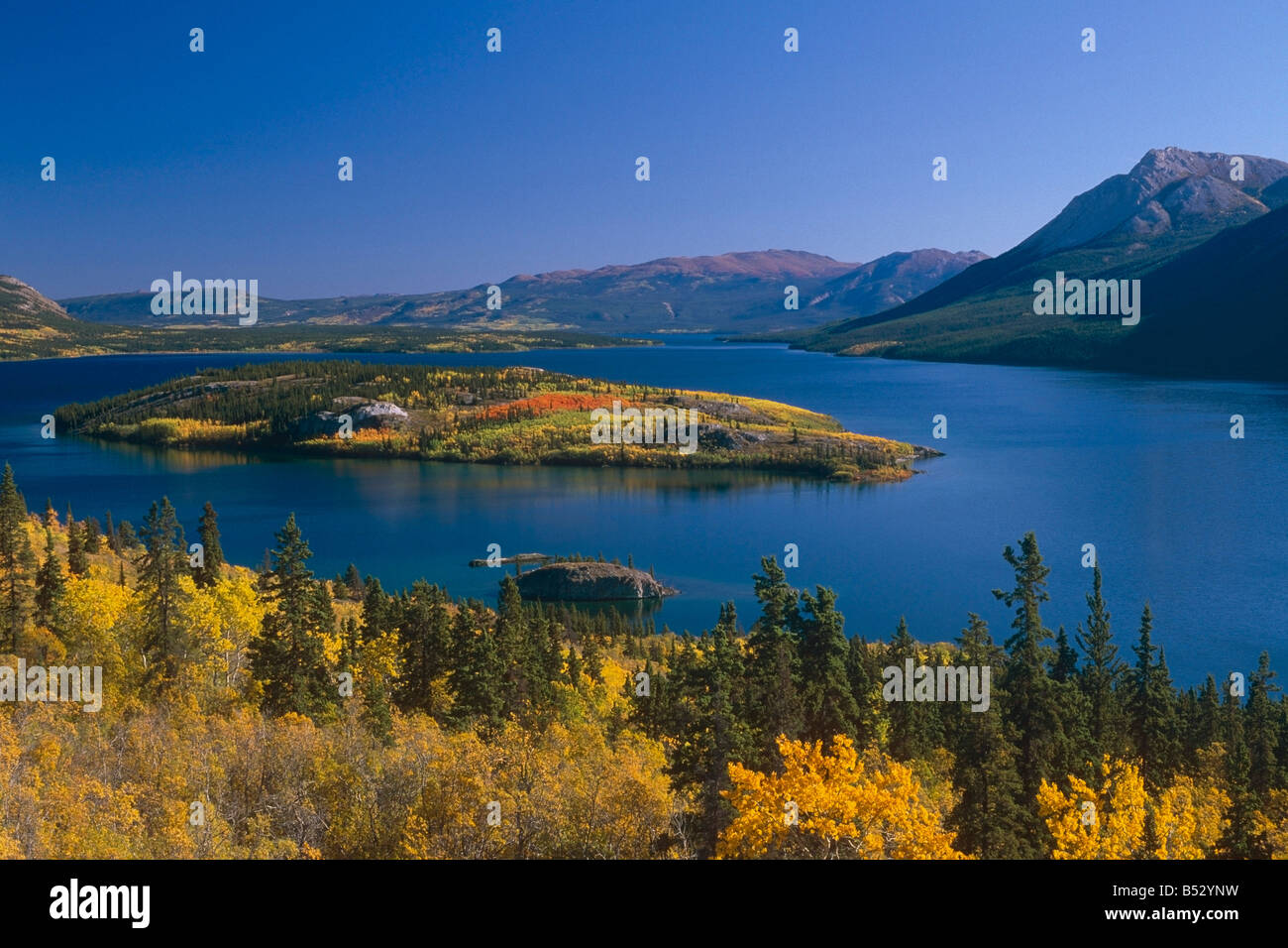 Bove Island and Tagish Lake in the fall Yukon Canada Stock Photo - Alamy