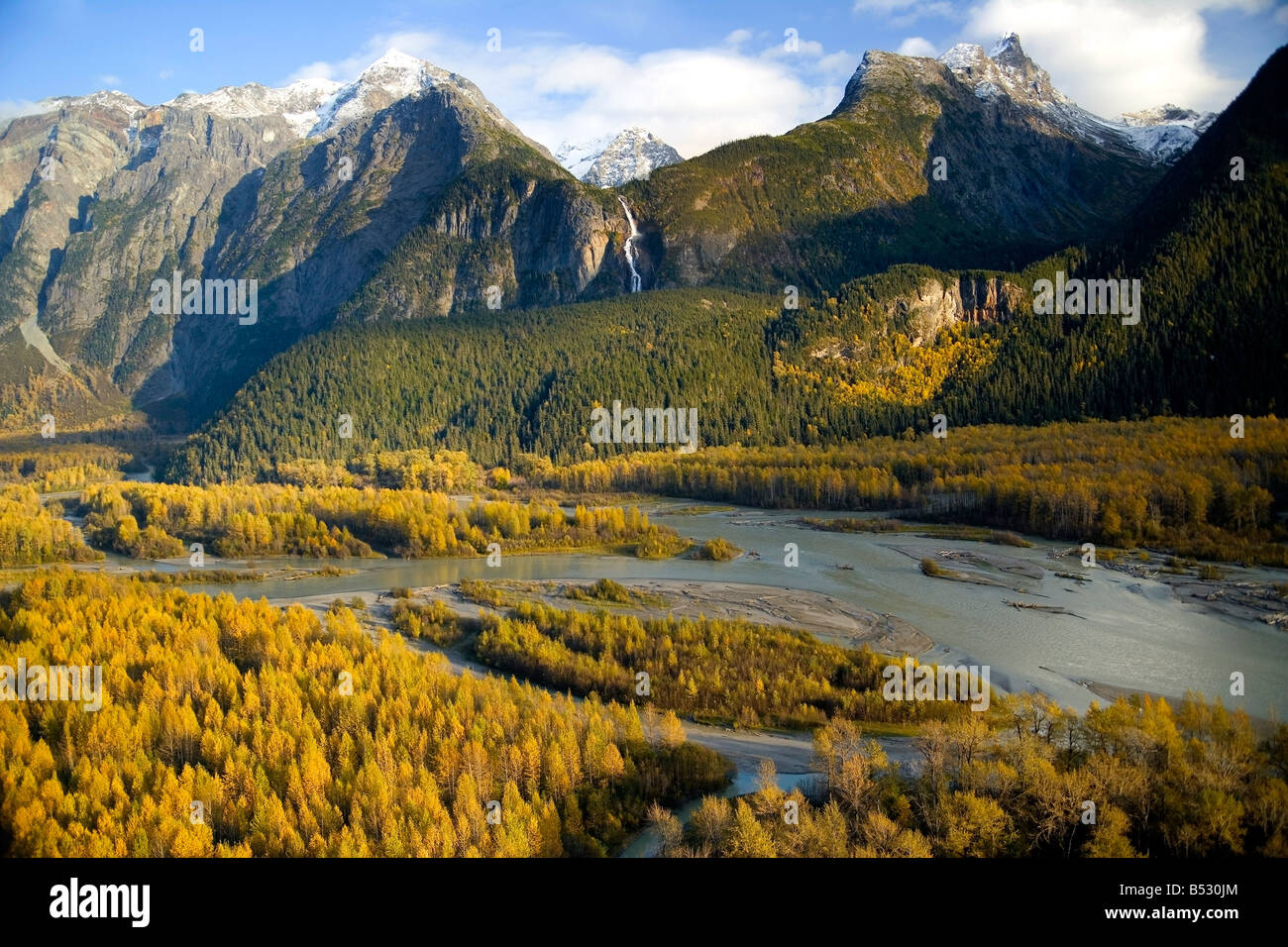 Taku River in the fall with cottonwood trees lining the riverbanks ...