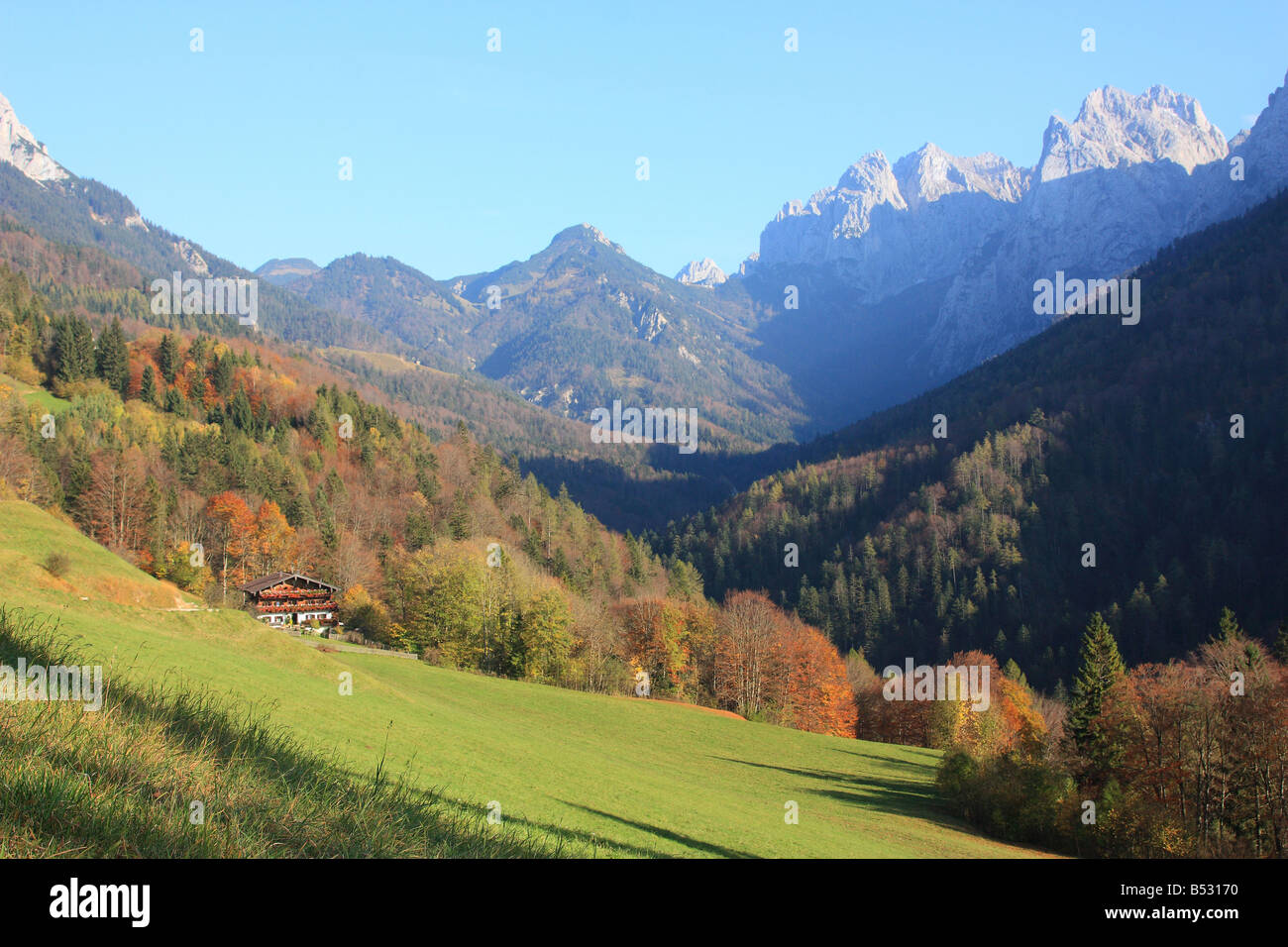 Sanft wald hi-res stock photography and images - Alamy