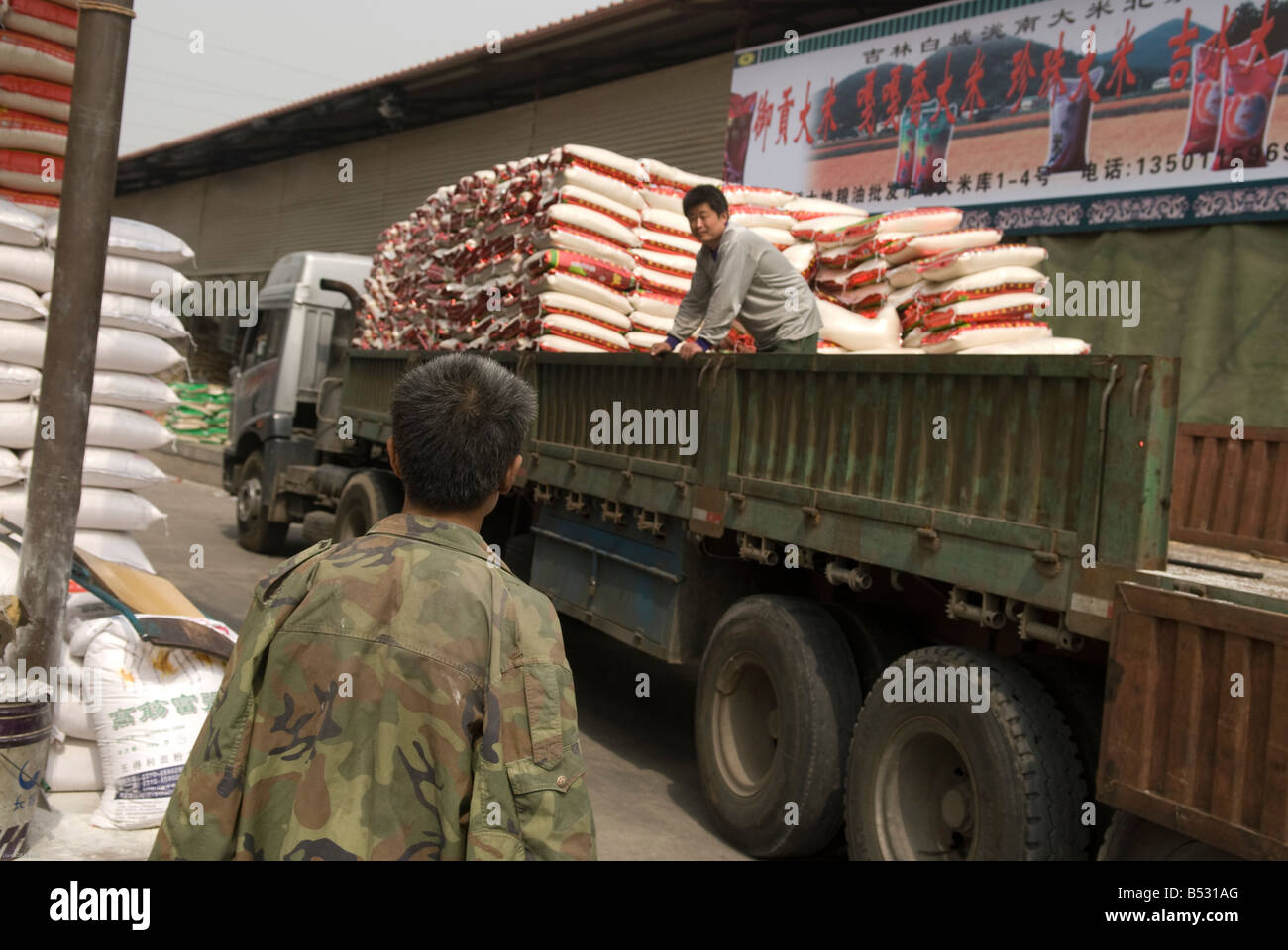 Riz Rice Field High Resolution Stock Photography and Images - Alamy
