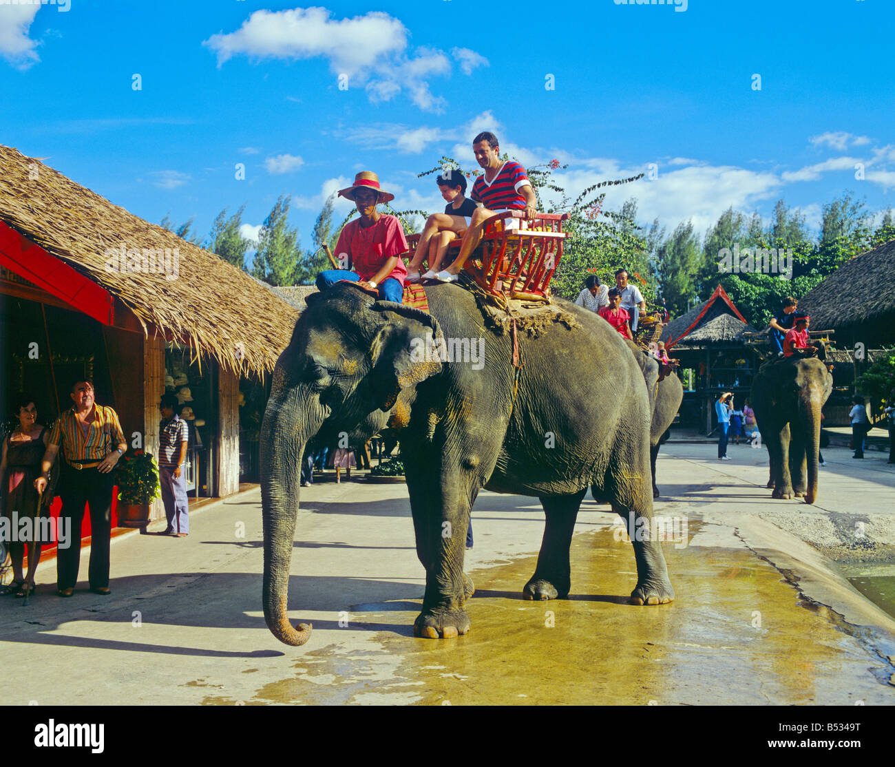 Elephant ride rose garden thailand hi-res stock photography and images ...