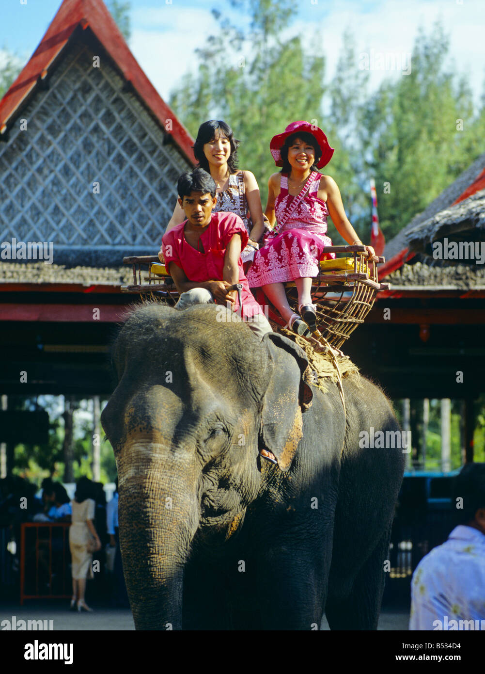 Elephant ride at the Rose Garden Thailand Stock Photo - Alamy