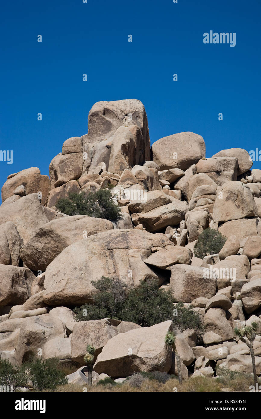 Hidden face tree hi-res stock photography and images - Alamy