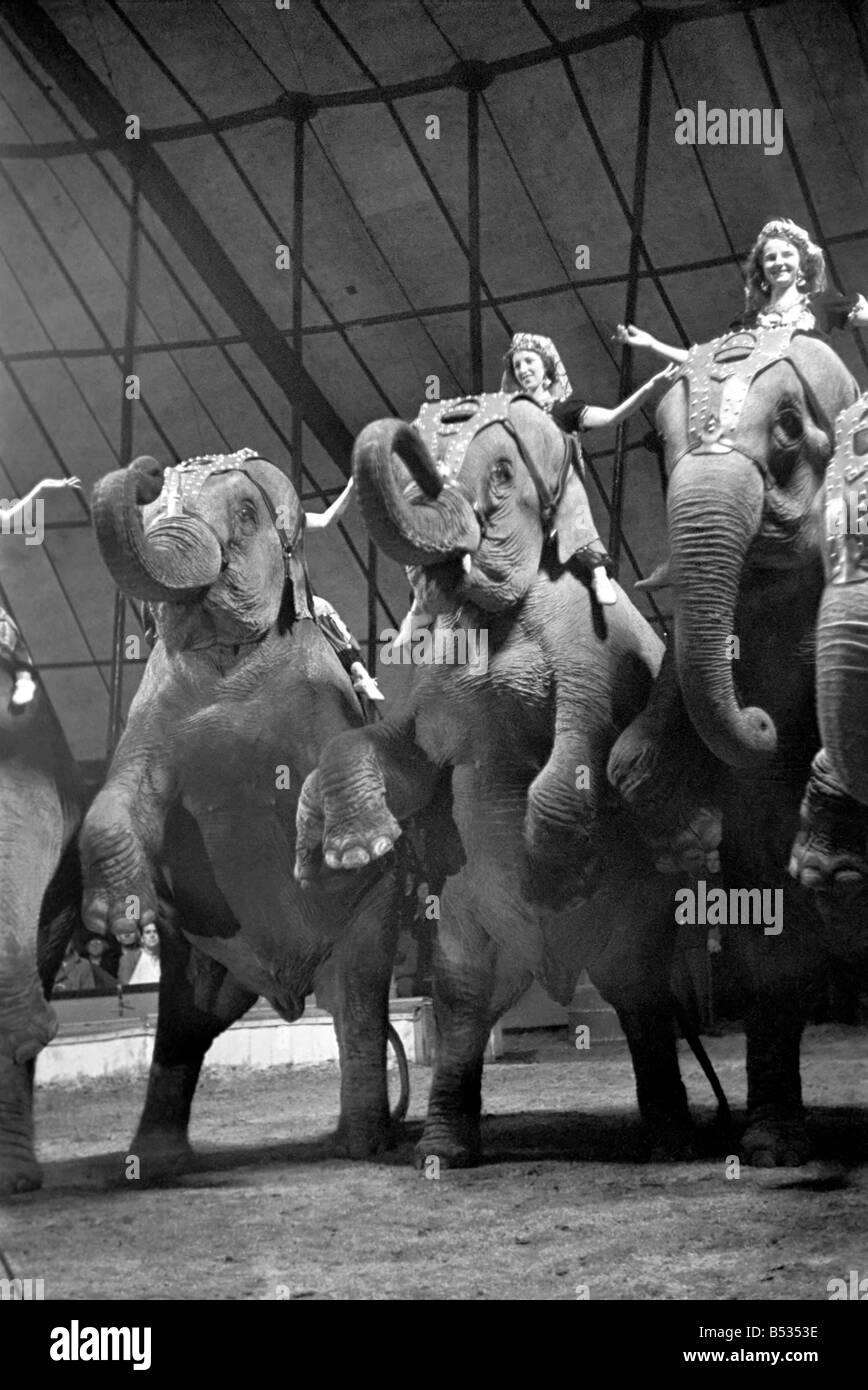Bertram mills circus luton april hi-res stock photography and images ...