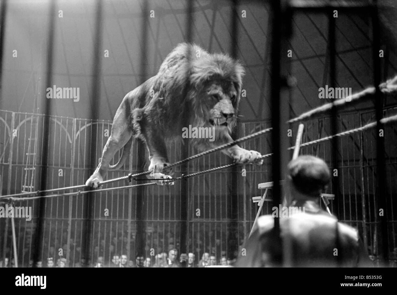 Bertram Mills Circus at Luton. April 1950 April 1950 O23401-010 Stock ...