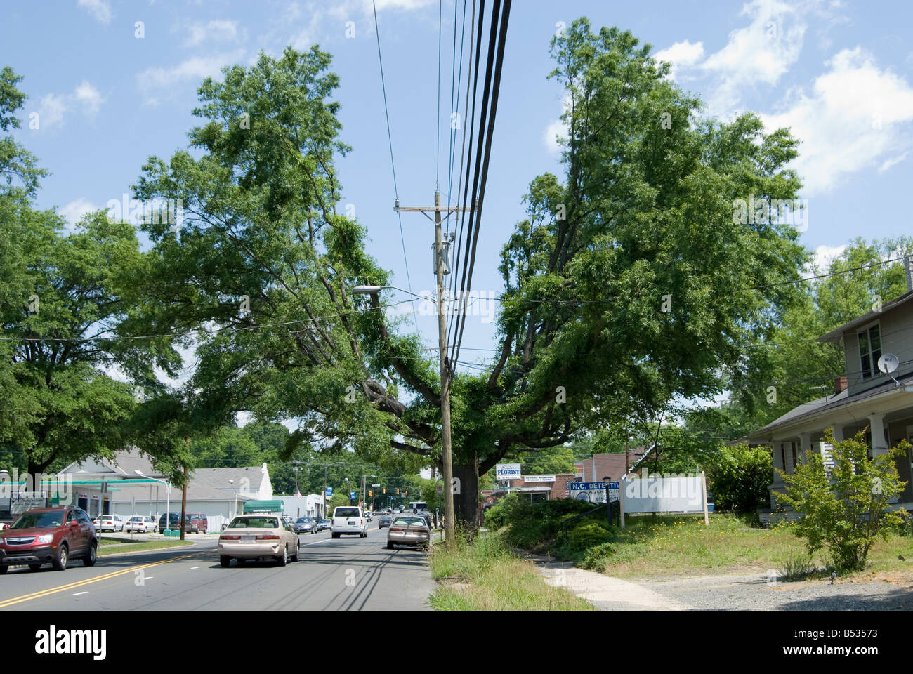 Durham north carolina trees hi-res stock photography and images - Alamy