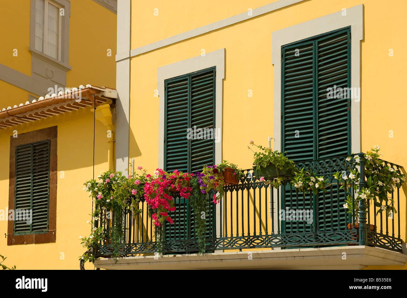 Balcony and flower flowers window boxes close up Funchal Madeira ...