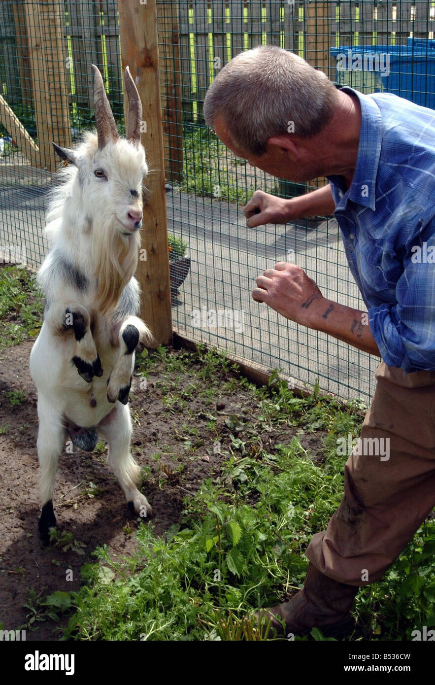 The contender boxing hi-res stock photography and images - Alamy