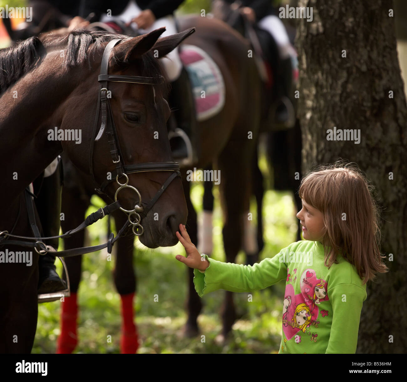Horse friends hi-res stock photography and images - Alamy