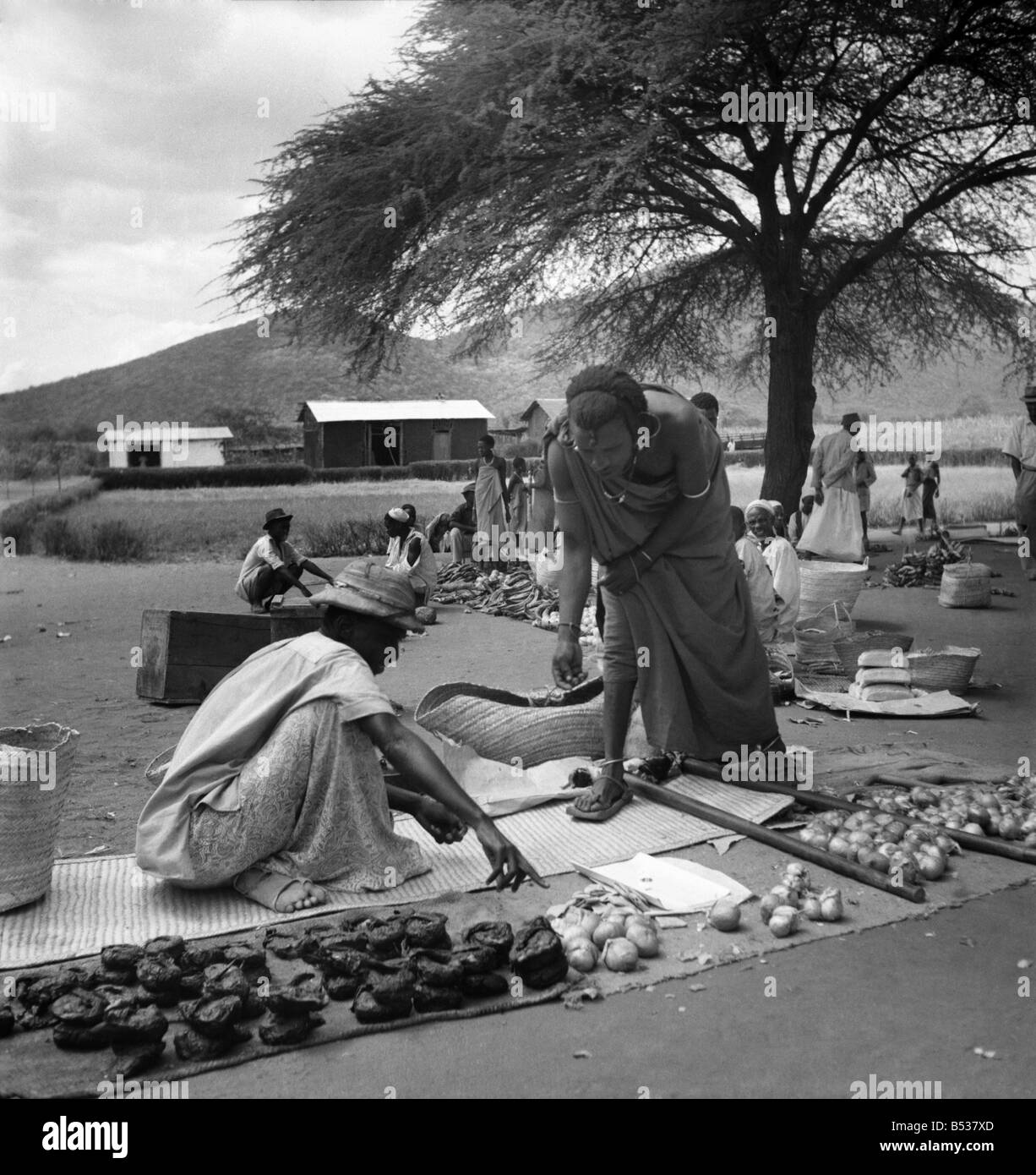 East African Groundnuts Scheme. During the late 1940s the British ...