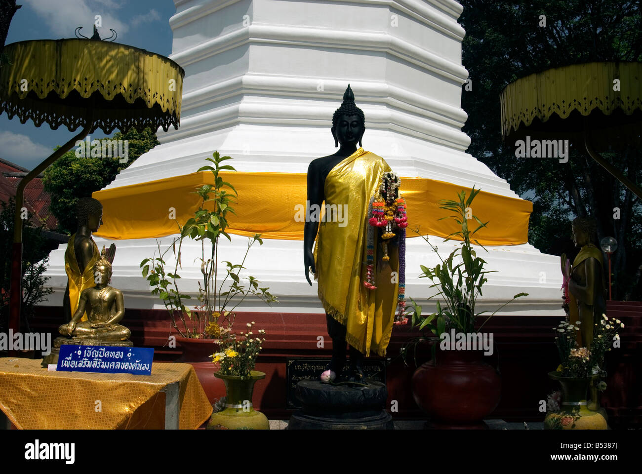 Wat doi tong thailand hi-res stock photography and images - Alamy