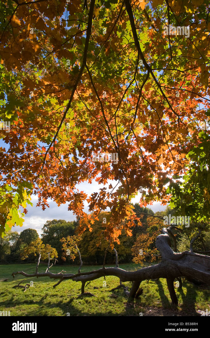 Hampstaed london hi-res stock photography and images - Alamy