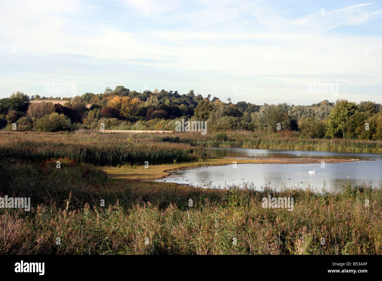 Amwell quarry Nature Reserve Stock Photo - Alamy