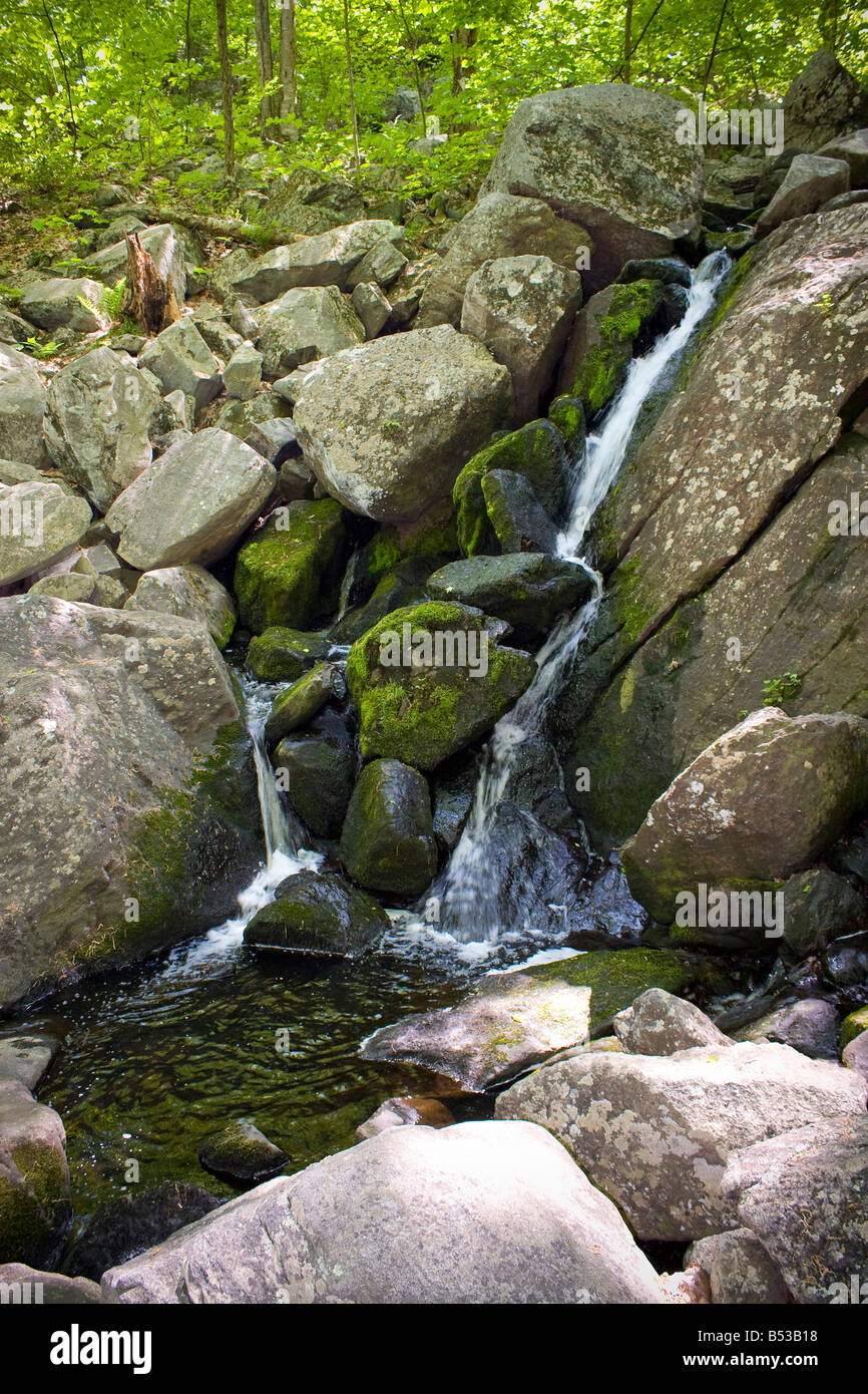 A beautiful waterfall flowing in the woods Stock Photo - Alamy