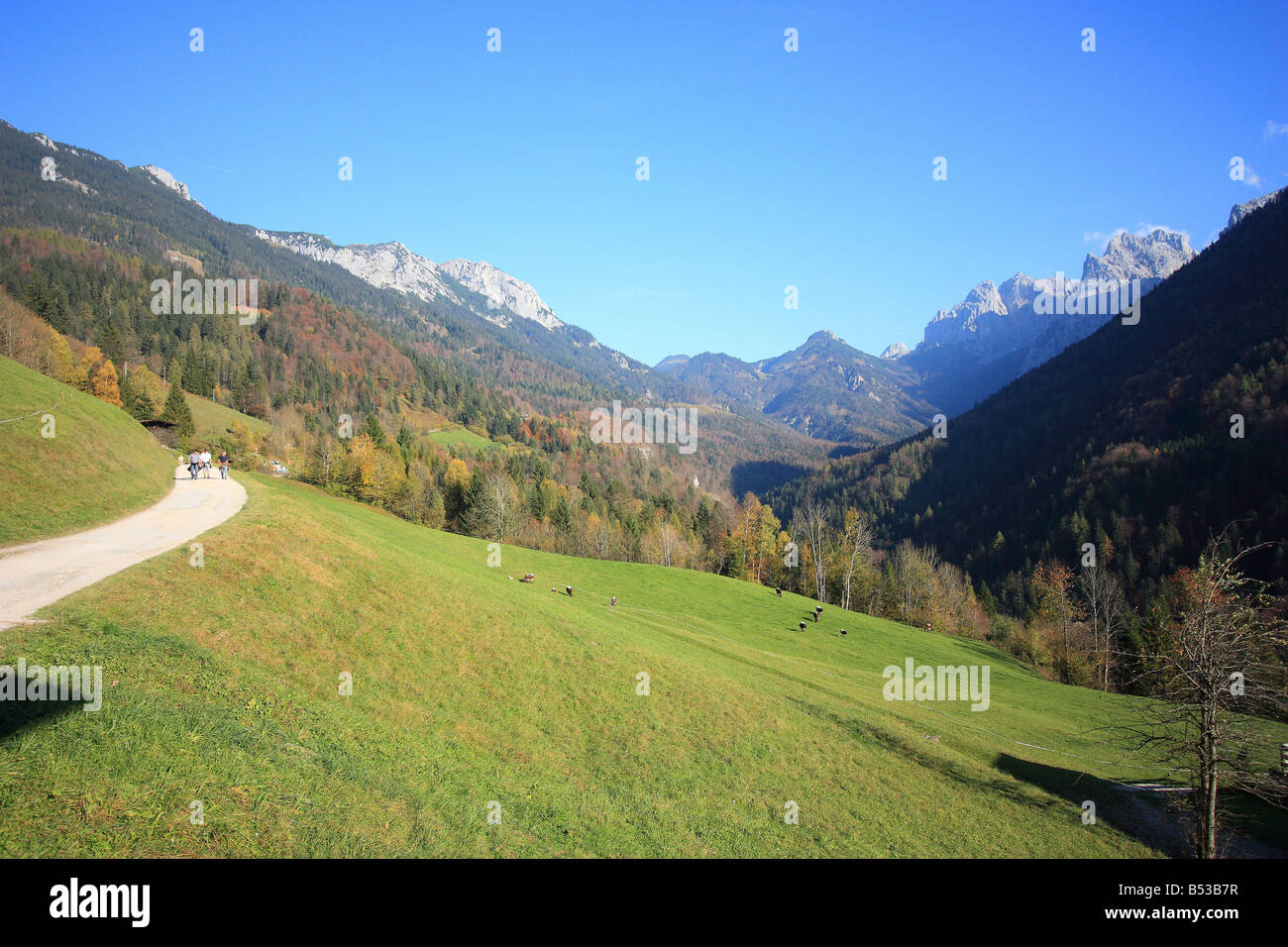 a beautiful day in the tyrolean alps Stock Photo - Alamy