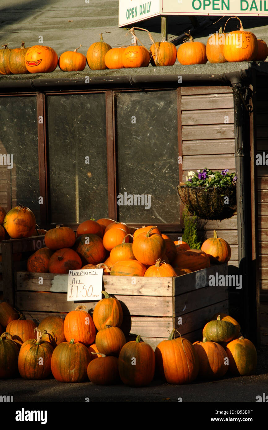 Country store with pumpkins hi-res stock photography and images - Alamy