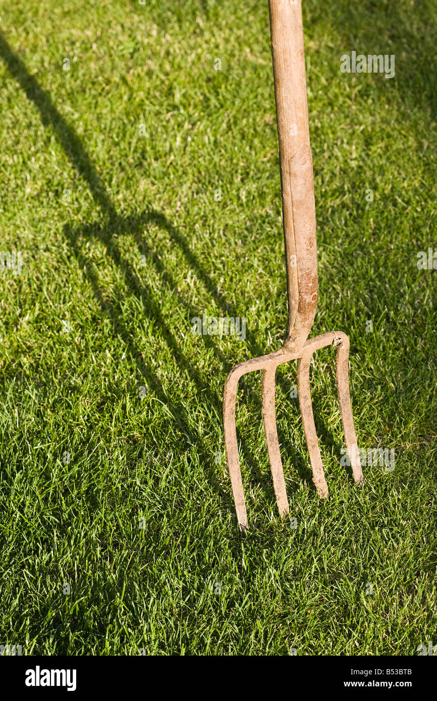 Forking A Lawn