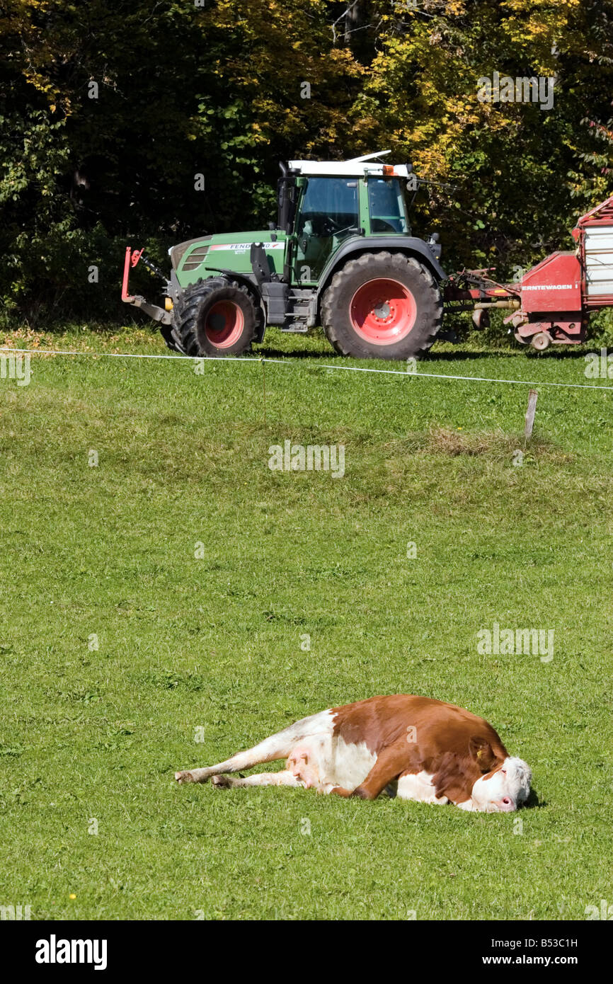 Funny tractor hi-res stock photography and images - Alamy