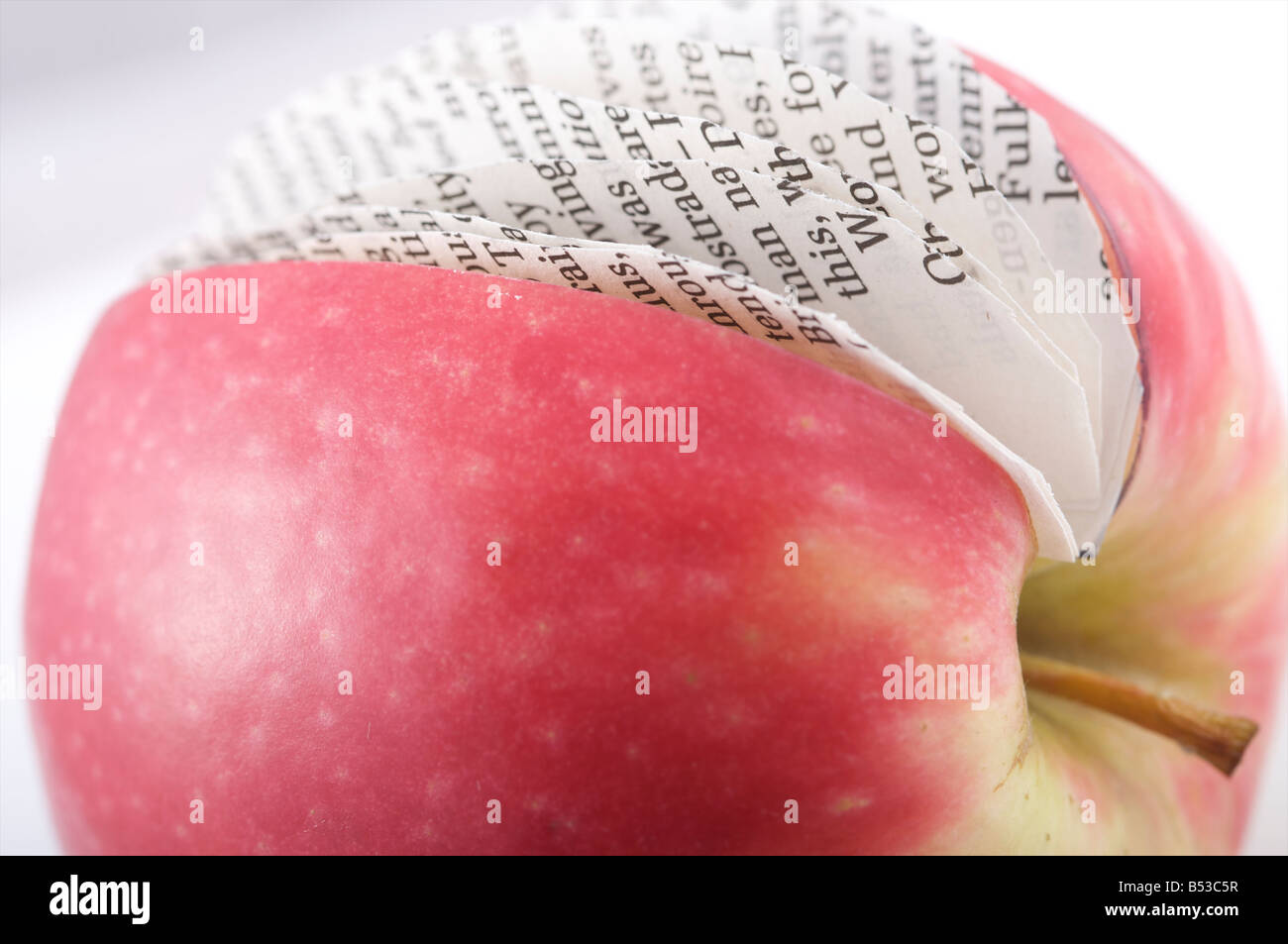 Middle picture hi-res stock photography and images - Alamy