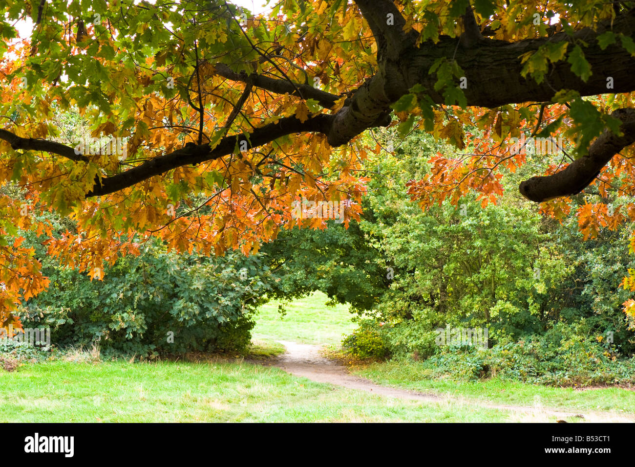 Hampstead heath park uk hi-res stock photography and images - Alamy